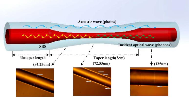 Community Forums - tapered fiber simulation